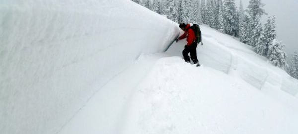 New Avalanche Forecast in Island Park, ID | Explore Big Sky