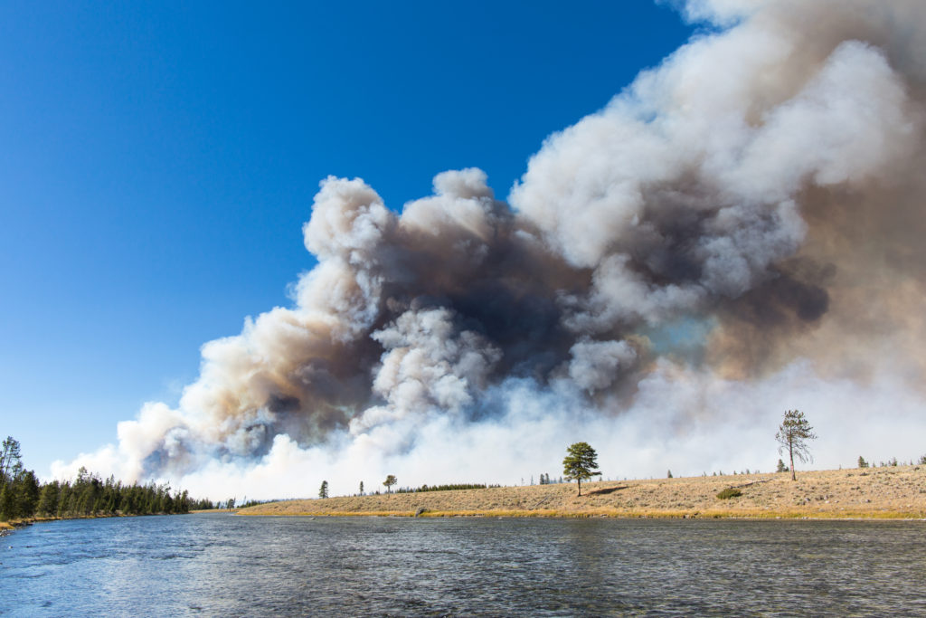 Yellowstone wildfires burn 62,000 acres | Explore Big Sky