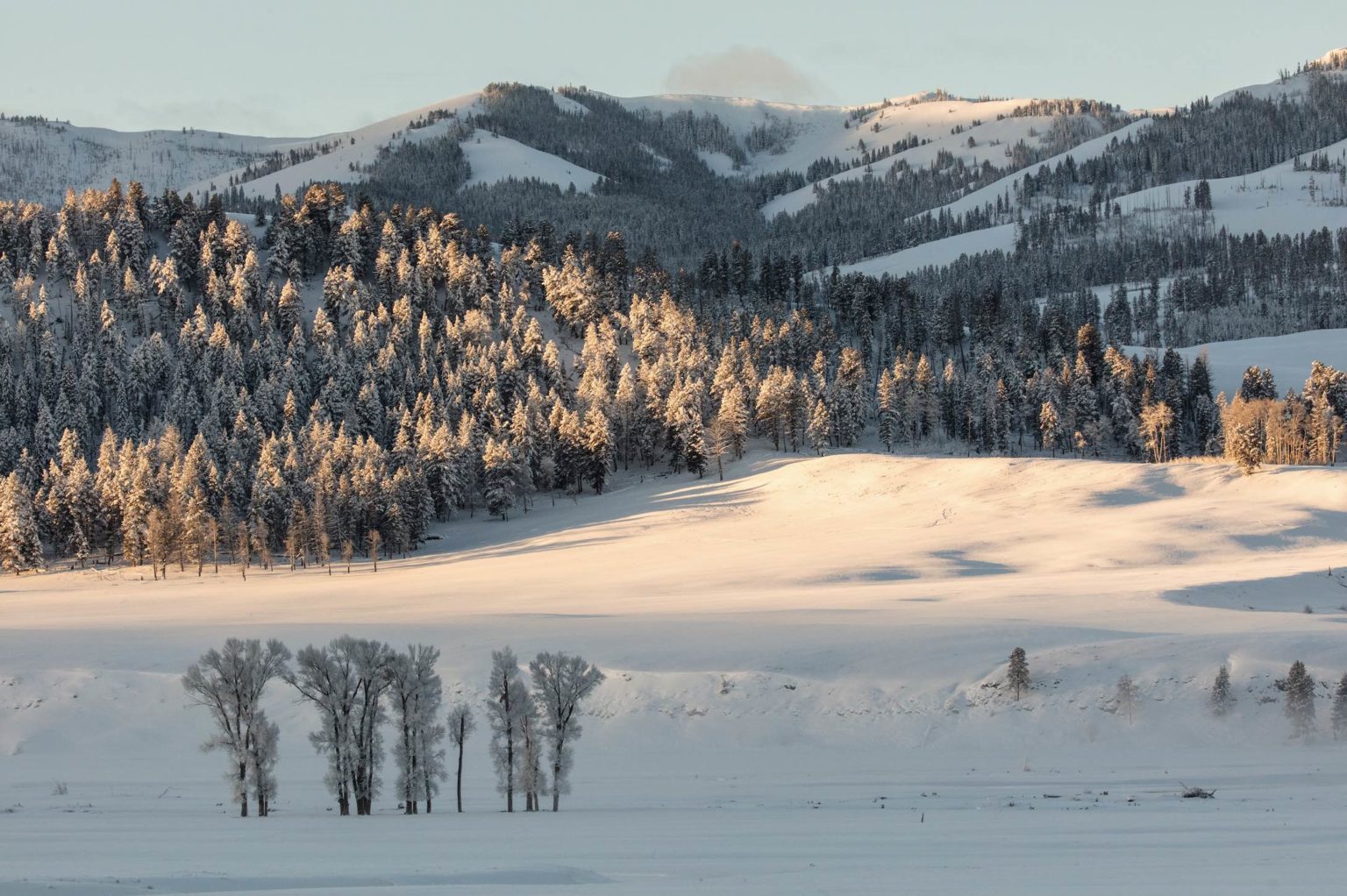 Living in Lamar Valley | Explore Big Sky