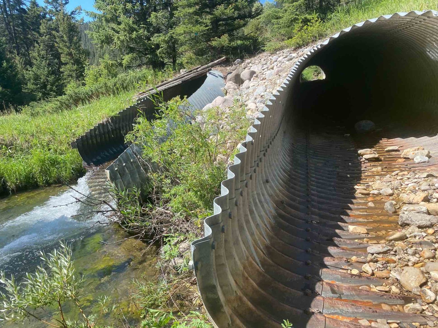 My experience: A Trout Unlimited culvert study | Explore Big Sky