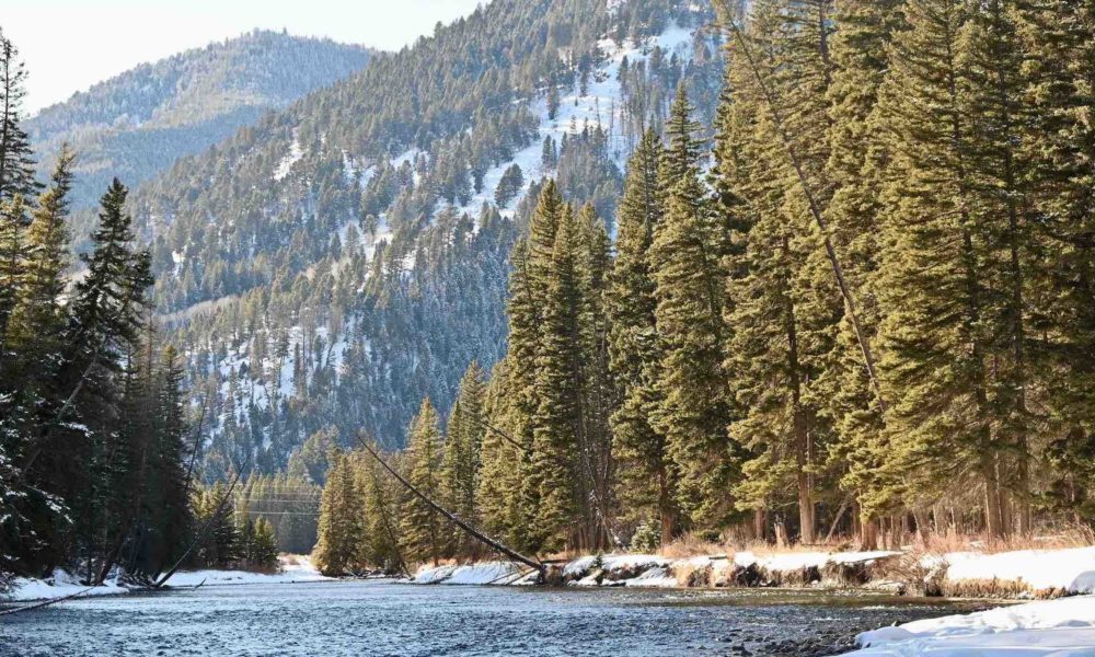 Water Wisdom: The Headwaters Hedge | Explore Big Sky