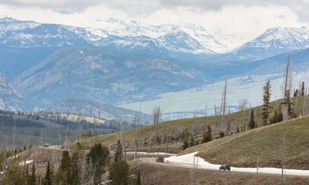Yellowstone’s Dunraven Pass expected to open May 27 | Explore Big Sky