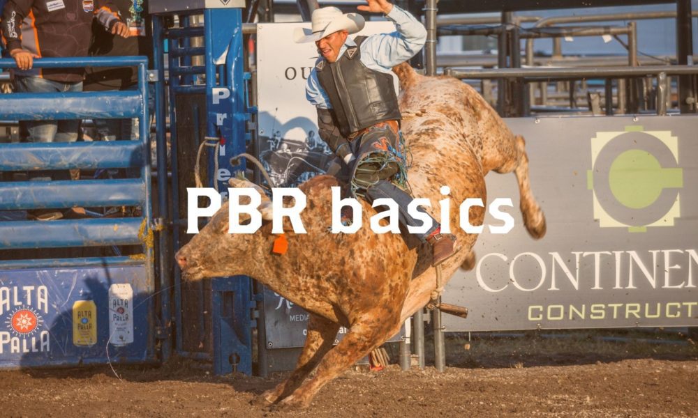 Professional Bull Riding basics | Explore Big Sky
