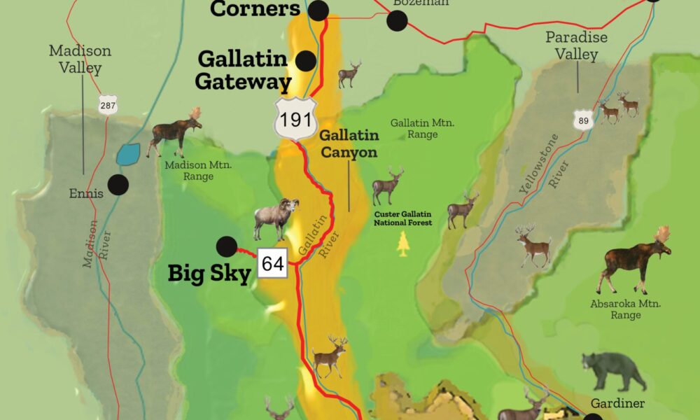 Transportation report offers solutions to wildlife collisions on 191 ...