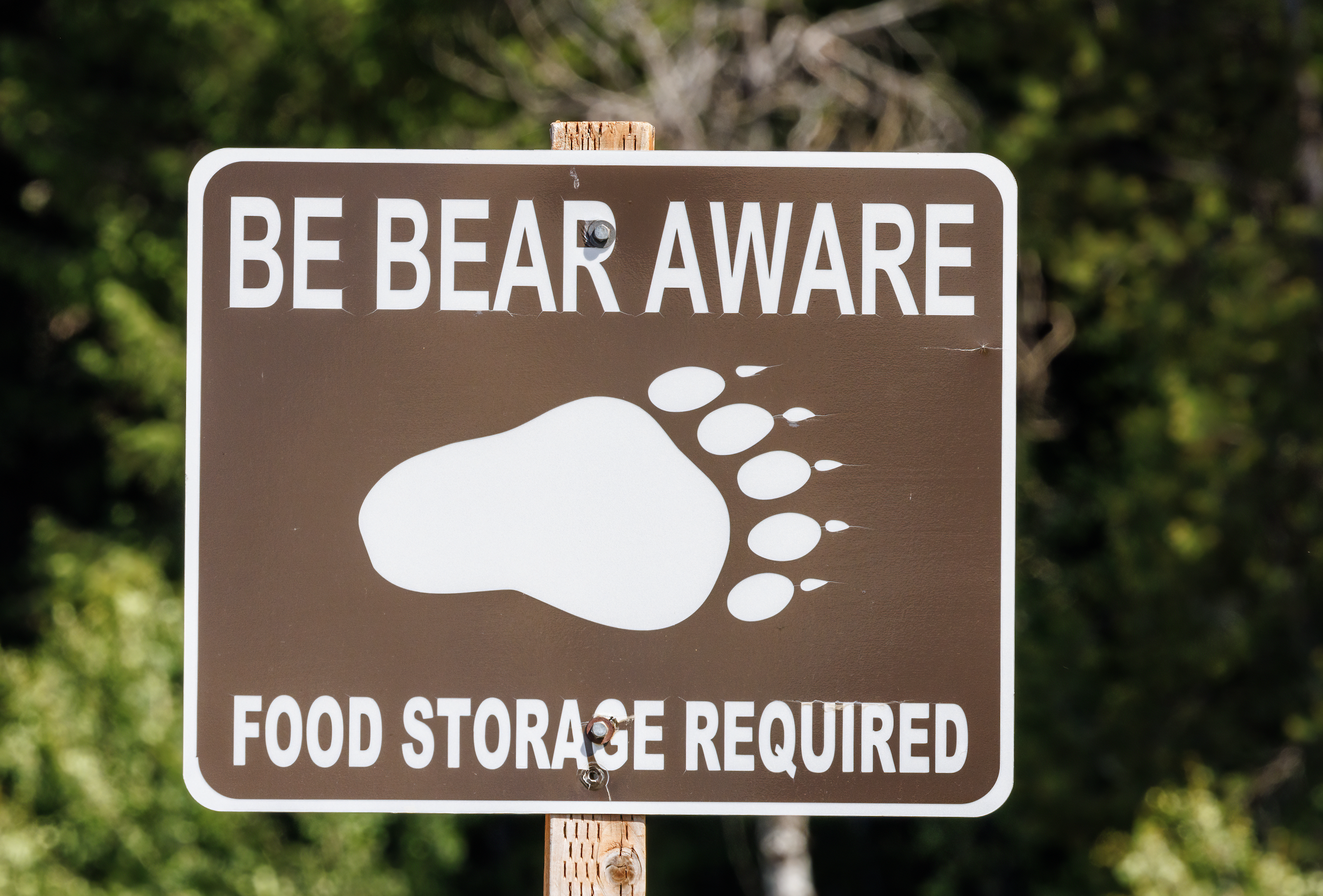 Bear Necessities: Staying bear-safe with bear boxes, bear bags and bear ...