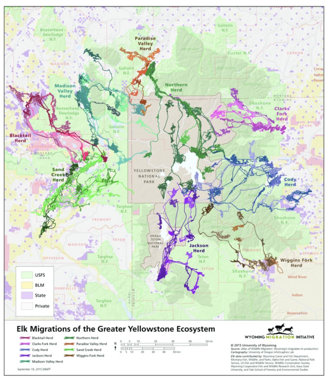 Fall elk migration: A call for connected landscapes | Explore Big Sky