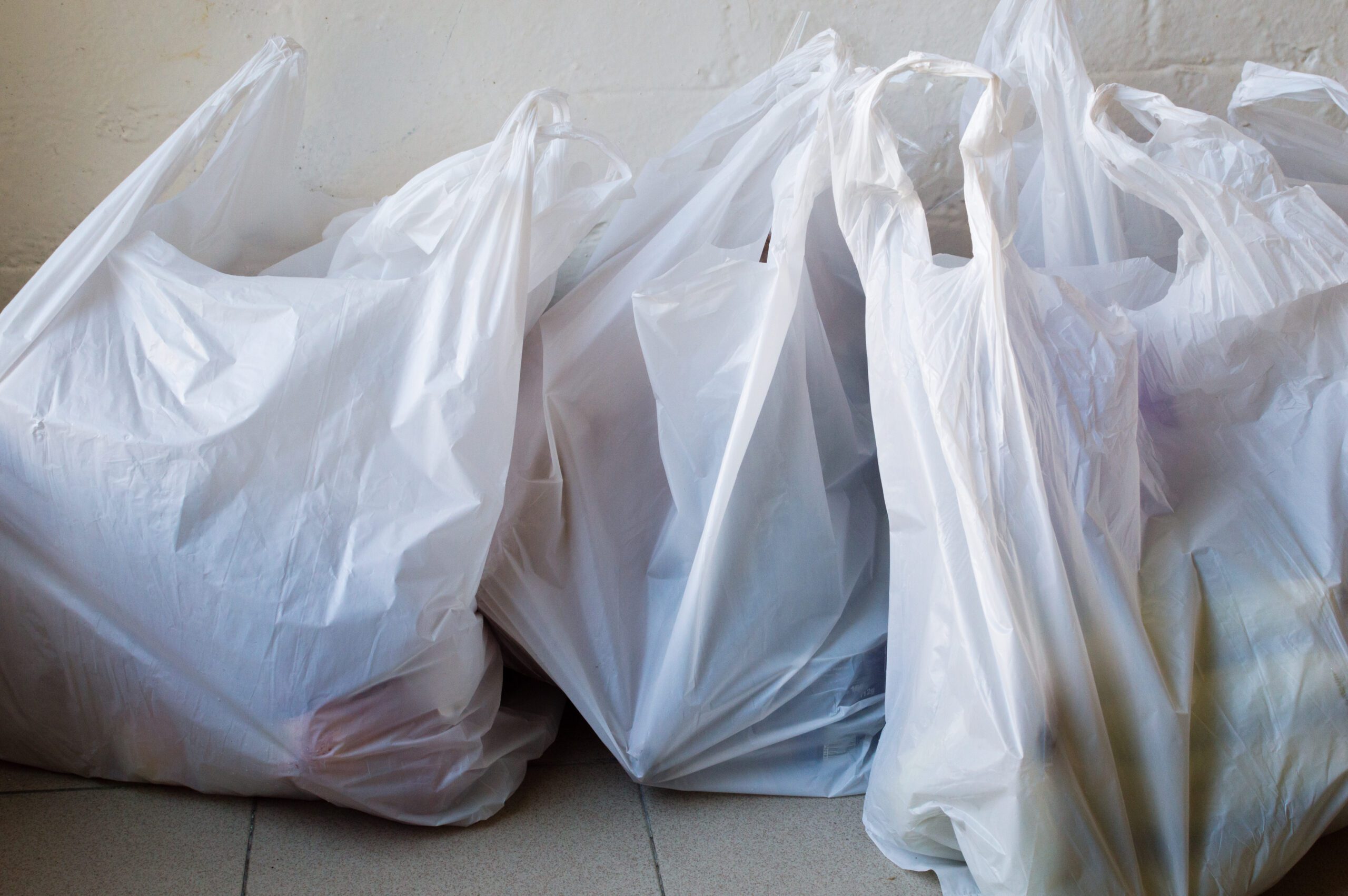 Bozeman voters pass ban on plastic bags polystyrene foam Explore Big Sky